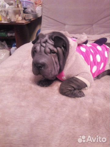 Плюшечка Марфушечка