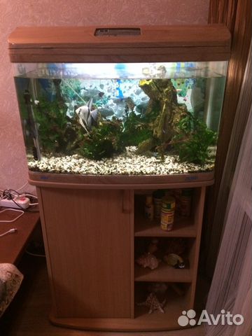 Аквариум