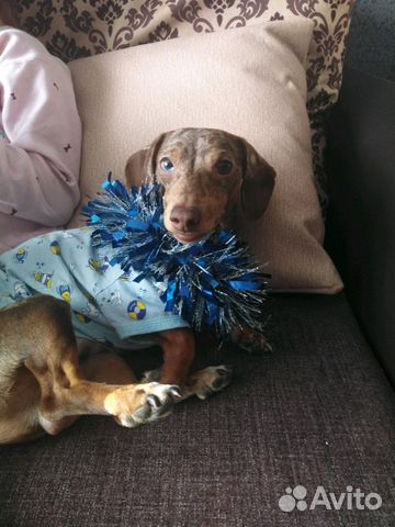 Ищем невесту