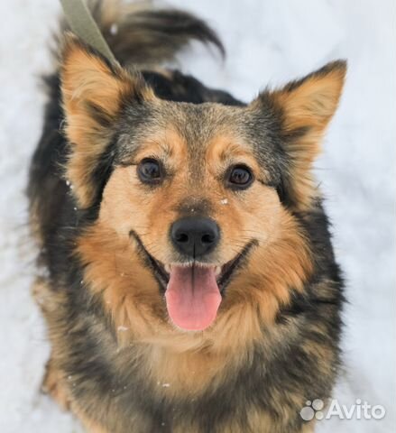 Жуля, 3 года, 30см