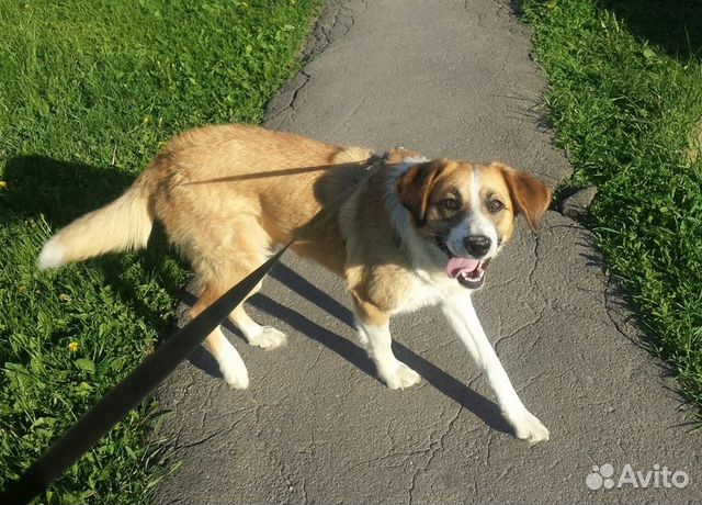 Жизнерадостная Герда в дар