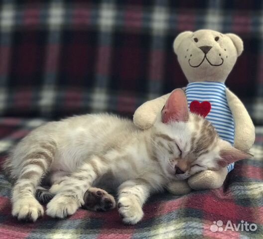 Снежная малышка