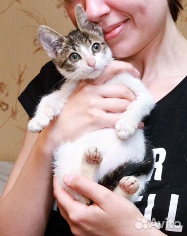 Малыш ищет семью