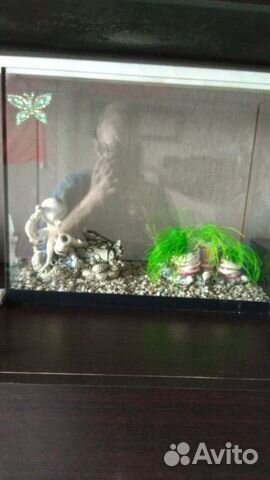 Аквариум