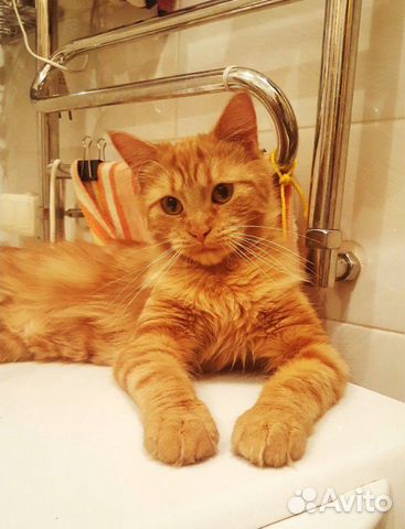 Шикарная Тамара