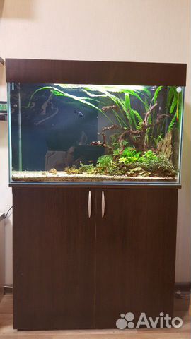 Аквариум со всем содержимым