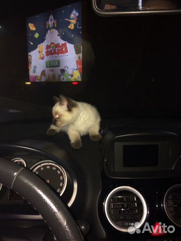 Вязка
