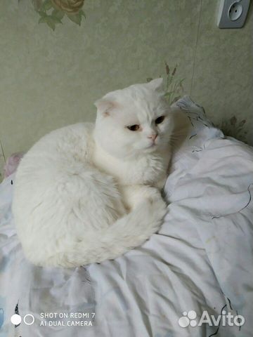 Вязка