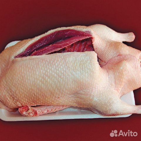 Продаю хорошие мясные деревенские тушки гусей