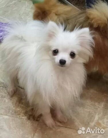 Снежинка для вас