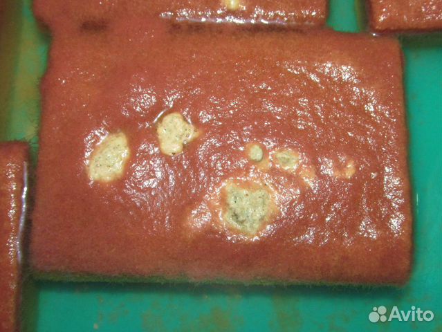 Аулофорус (живой корм для аквариумных рыб)