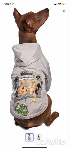 Куртка-дождевик