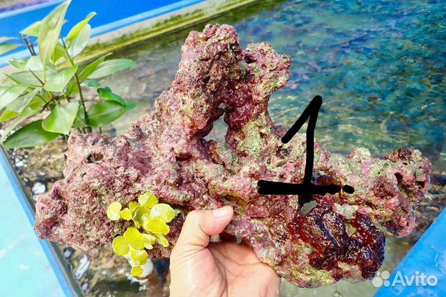 ЖК премиум камни в морской аквариум