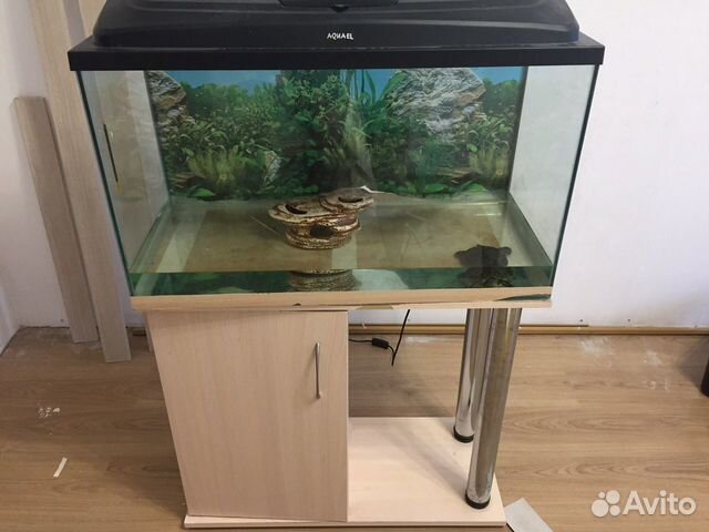 Аквариум + тумбочка + черепаха