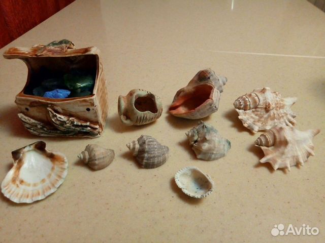 Аквариумный сундучок, амфора, ракушки