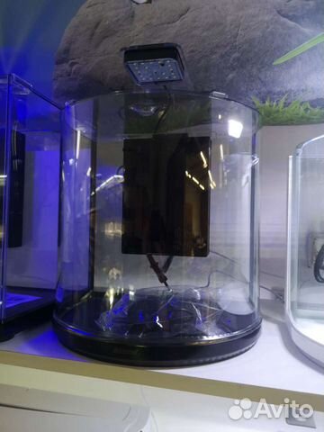 Полукруглые аквариумы