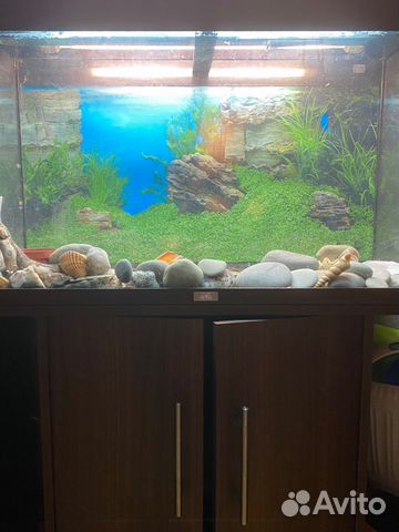 Аквариум Juwel rio 125