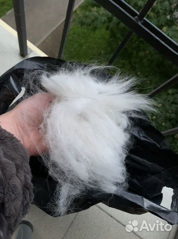 Шерсть самоеда