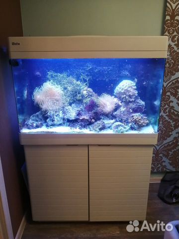 Аквариум морской red sea max 250