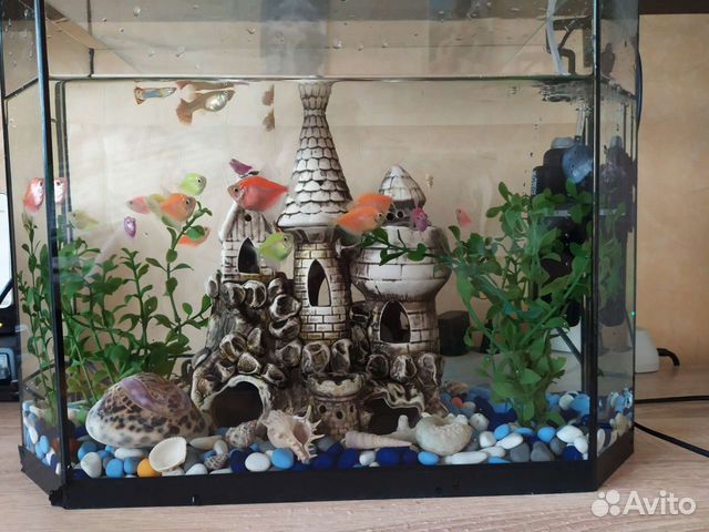 Аквариум с рыбками
