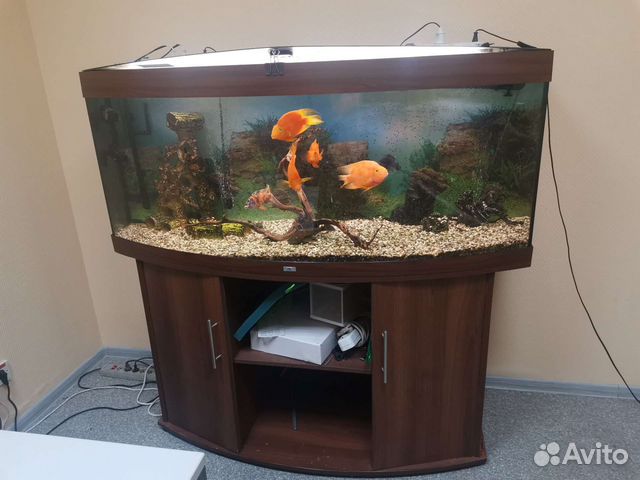 Аквариум Juwel vision 450