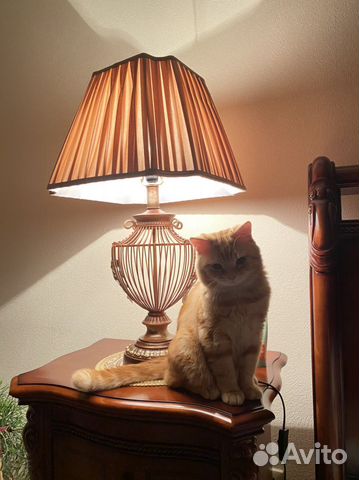 Котик ждет кошечку