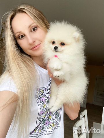 Шикарная пом девочка