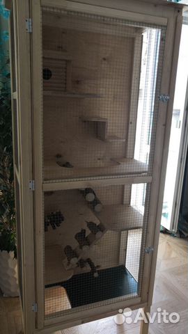 Шиншилла с клеткой продам