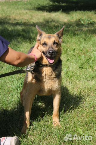 Варяг ждёт тебя в приюте