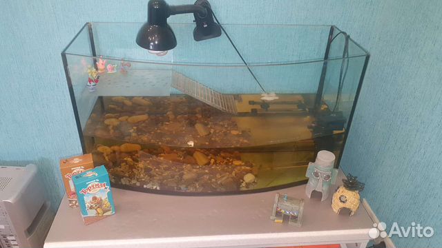 Аквариум черепашник