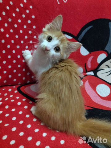 Само очарование