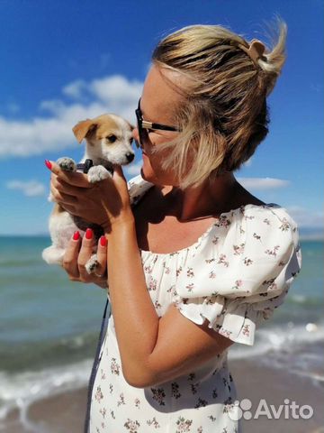 Крошка щенок