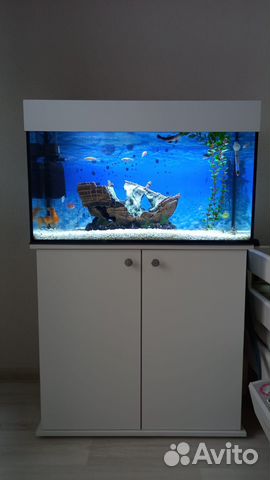 Аквариум с тумбой, рыбками, подсветкой, грунтом