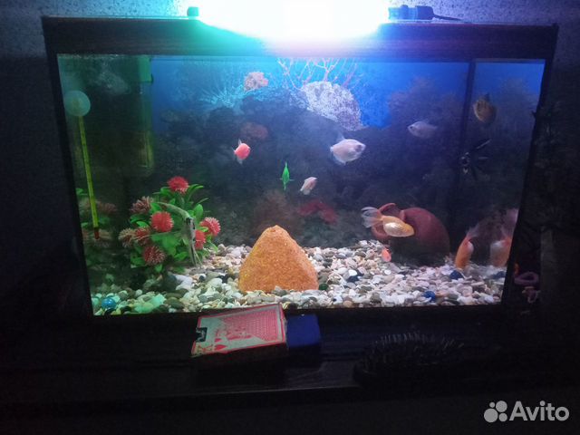 Аквариум