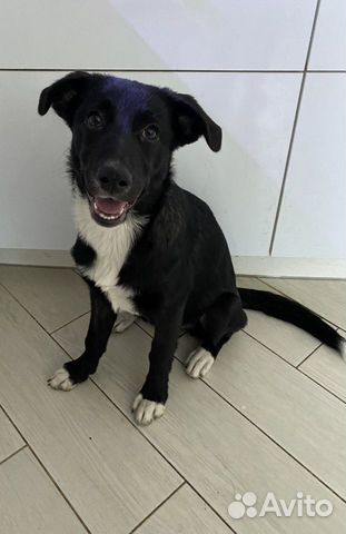 Стерилизованная девочка