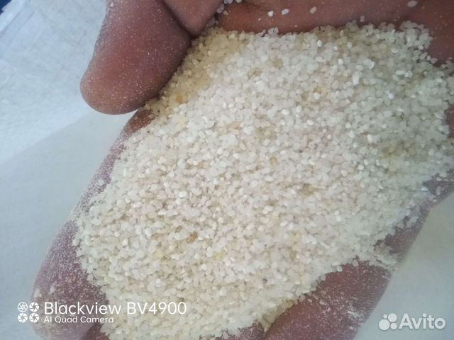 Крупа рисовая сечка(манка) отличная гост купить в Краснодаре | Животные ...