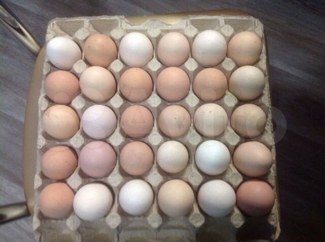 Яйцо куриное для инкубации от деревенских кур.Есть