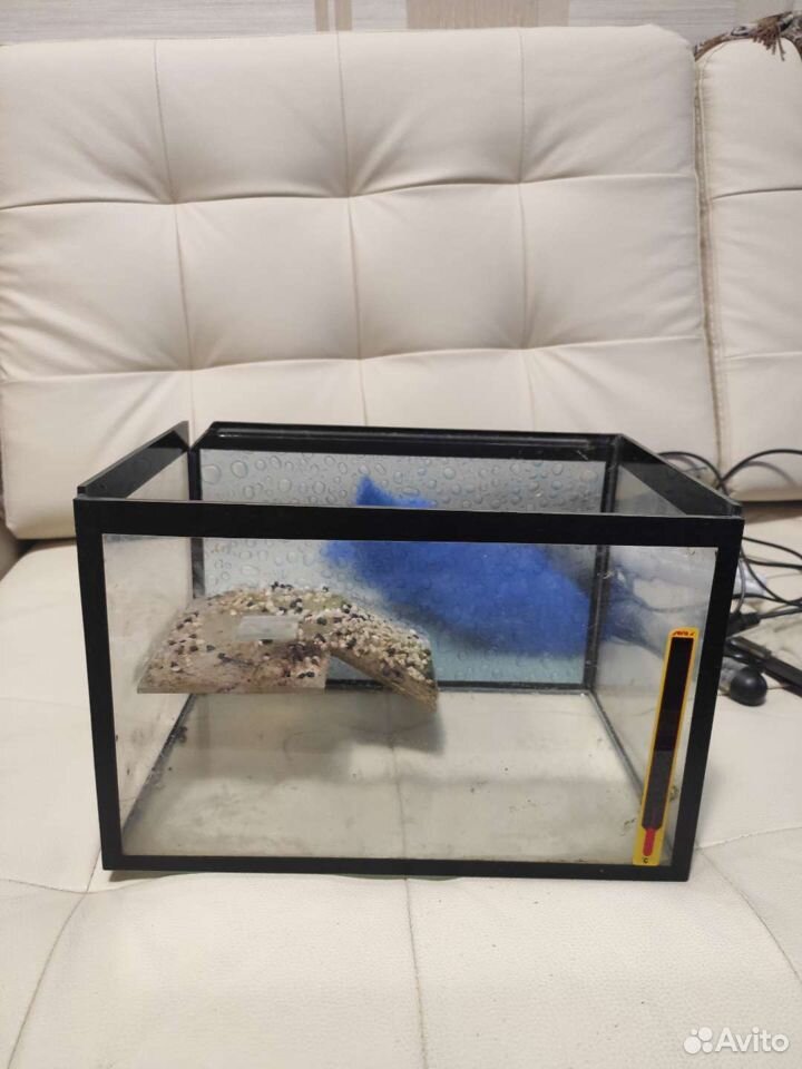 Акватеррариум