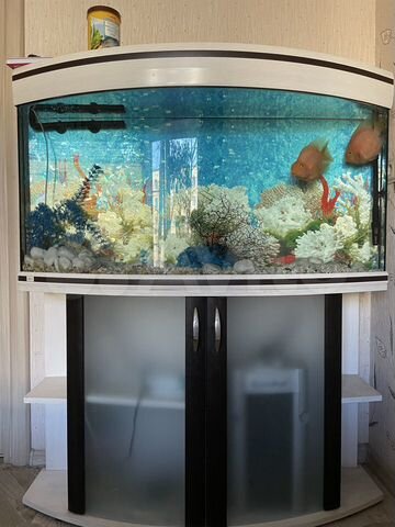 Аквариум с тумбой 170 л б/у